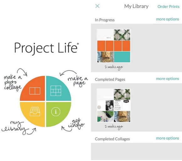 the project life app : a detailed review - kapachino